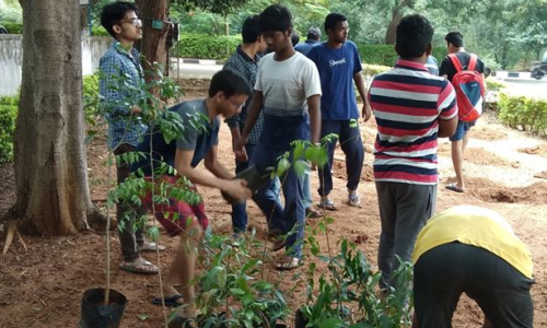 Tree plantation Drive